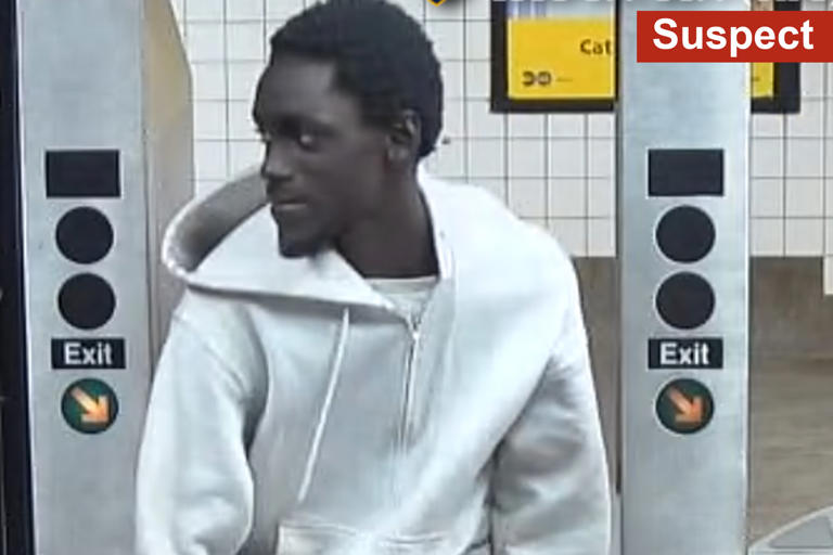 White hoodie-wearing goon brutally beats MTA employee on NYC subway ...