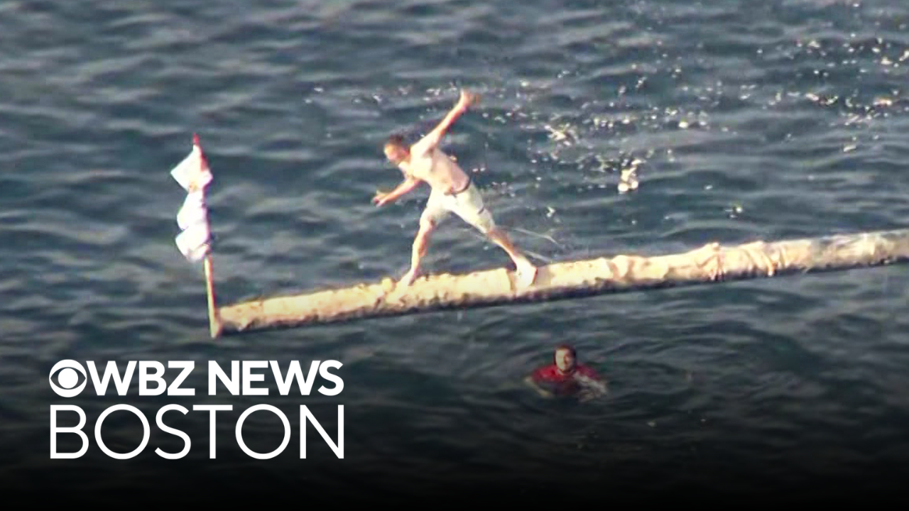 Greasy pole contest at St. Peter's Fiesta kicks off in Gloucester