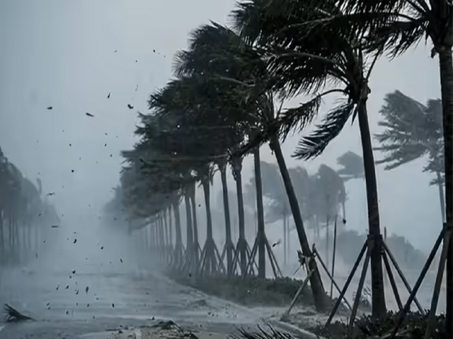 IMD weather alert: Heavy rain, thunderstorms and strong winds forecast ...