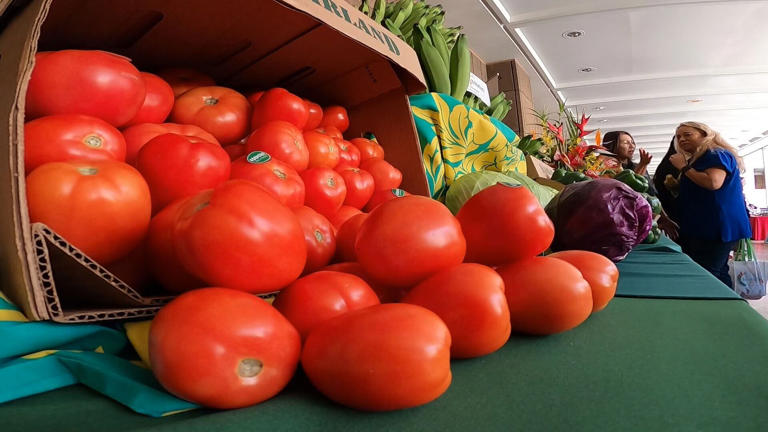 Choose Iowa farm crawl returns with nearly 60 participating farms