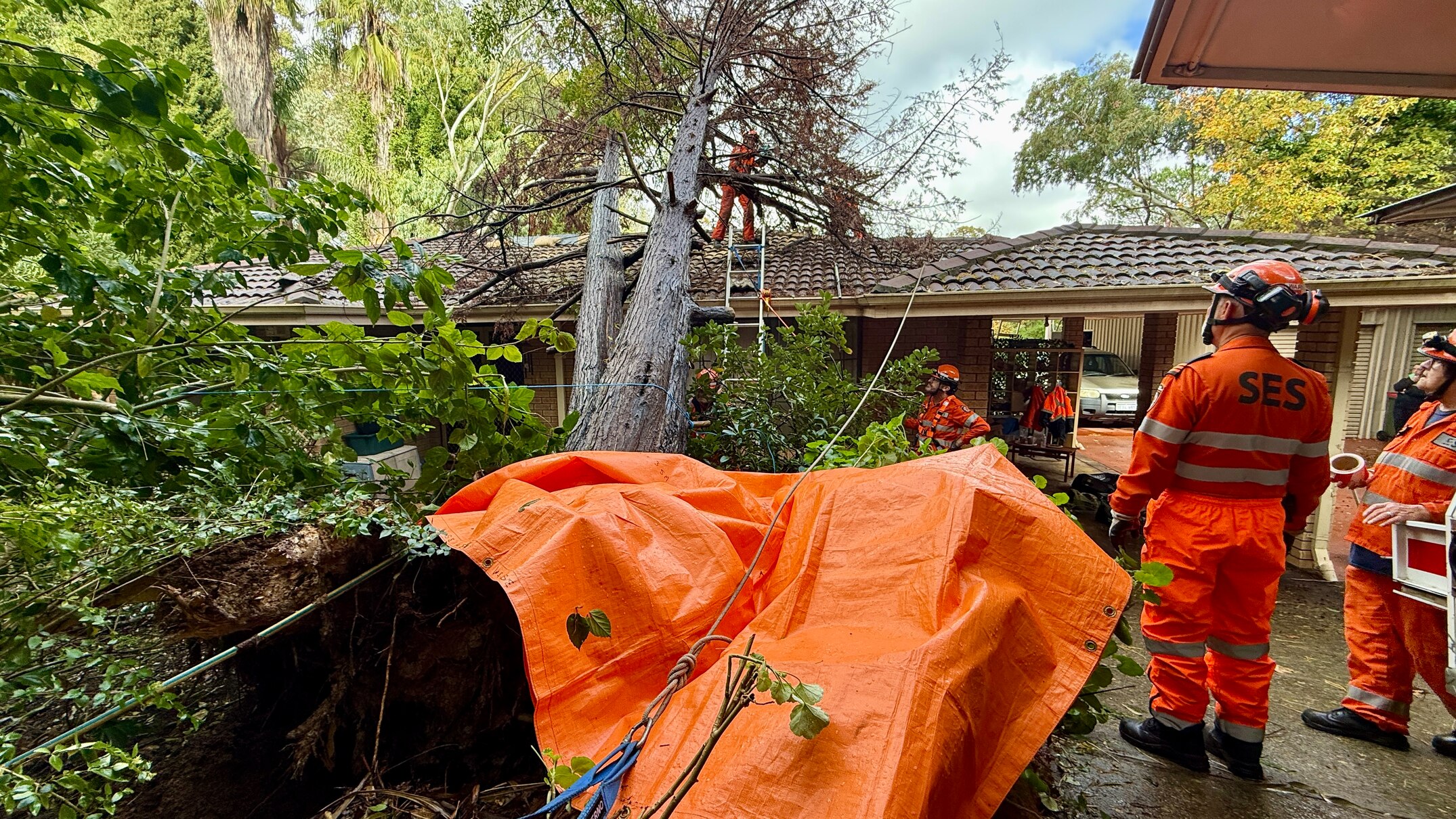 Cold front damages roofs, downs trees in Perth and WA's South West ...