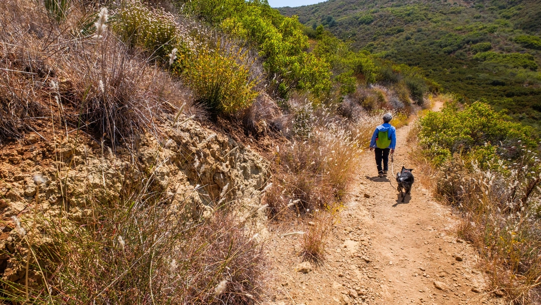 Comprehensive strategies for hill training success