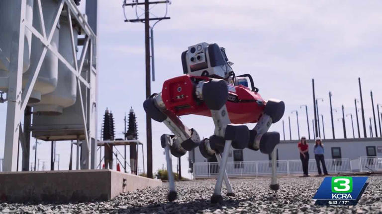SMUD's new robot dog is out of this world