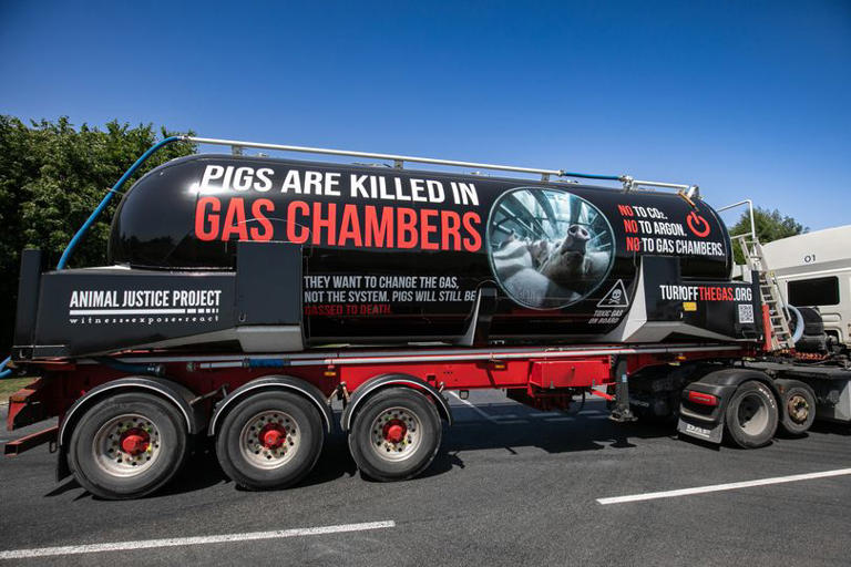 Protesters bring mobile gas chamber truck to pork giant's Hessle HQ