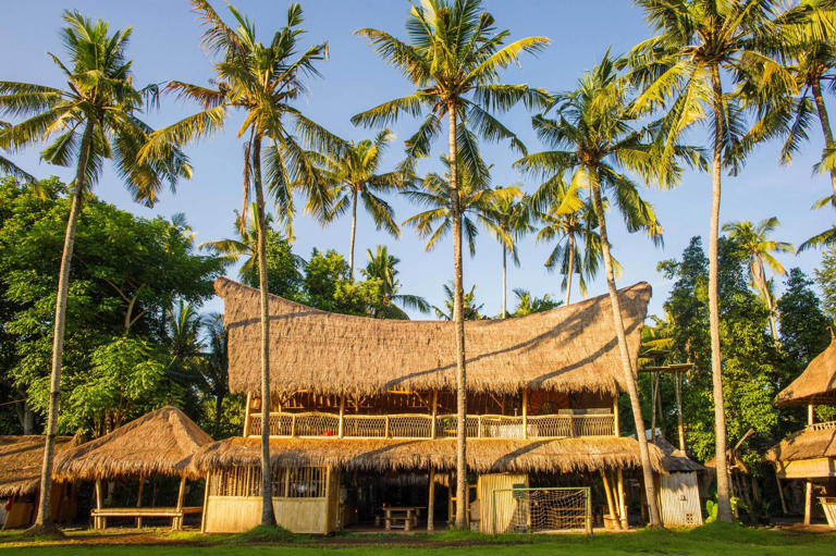 Green School Bali: Rethinking education for the future