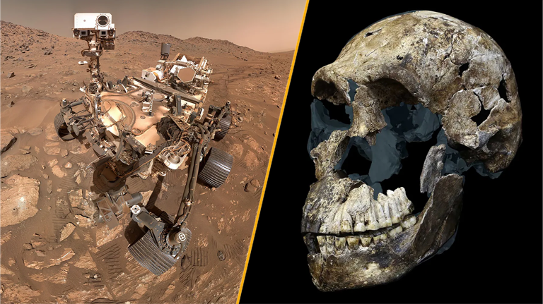 Science news this week: Life on Mars, weird water and a curious human ...