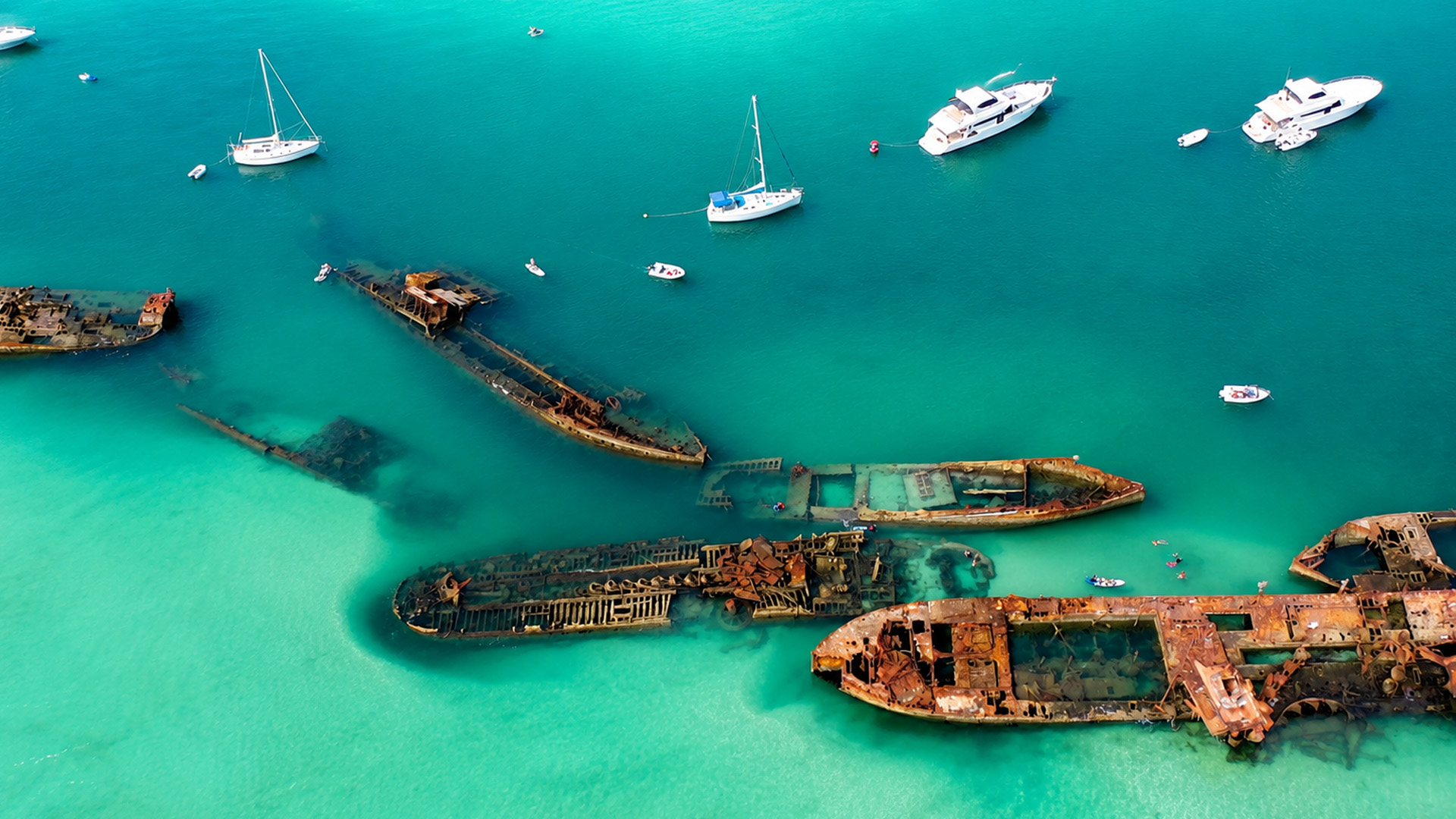 A harbor filled with sunken steel giants