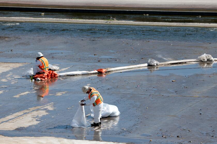 Water from Boyle Heights warehouse fire carries foam into LA River ...
