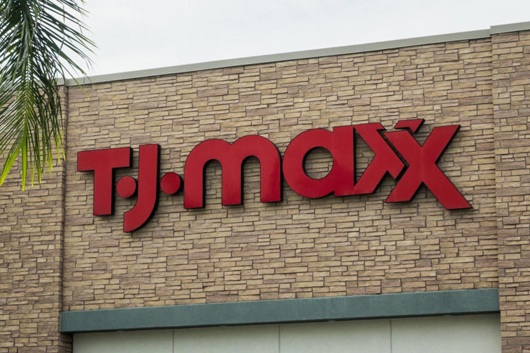 TJMaxx's lovely $25 cottage bird house adds instant charm to any yard