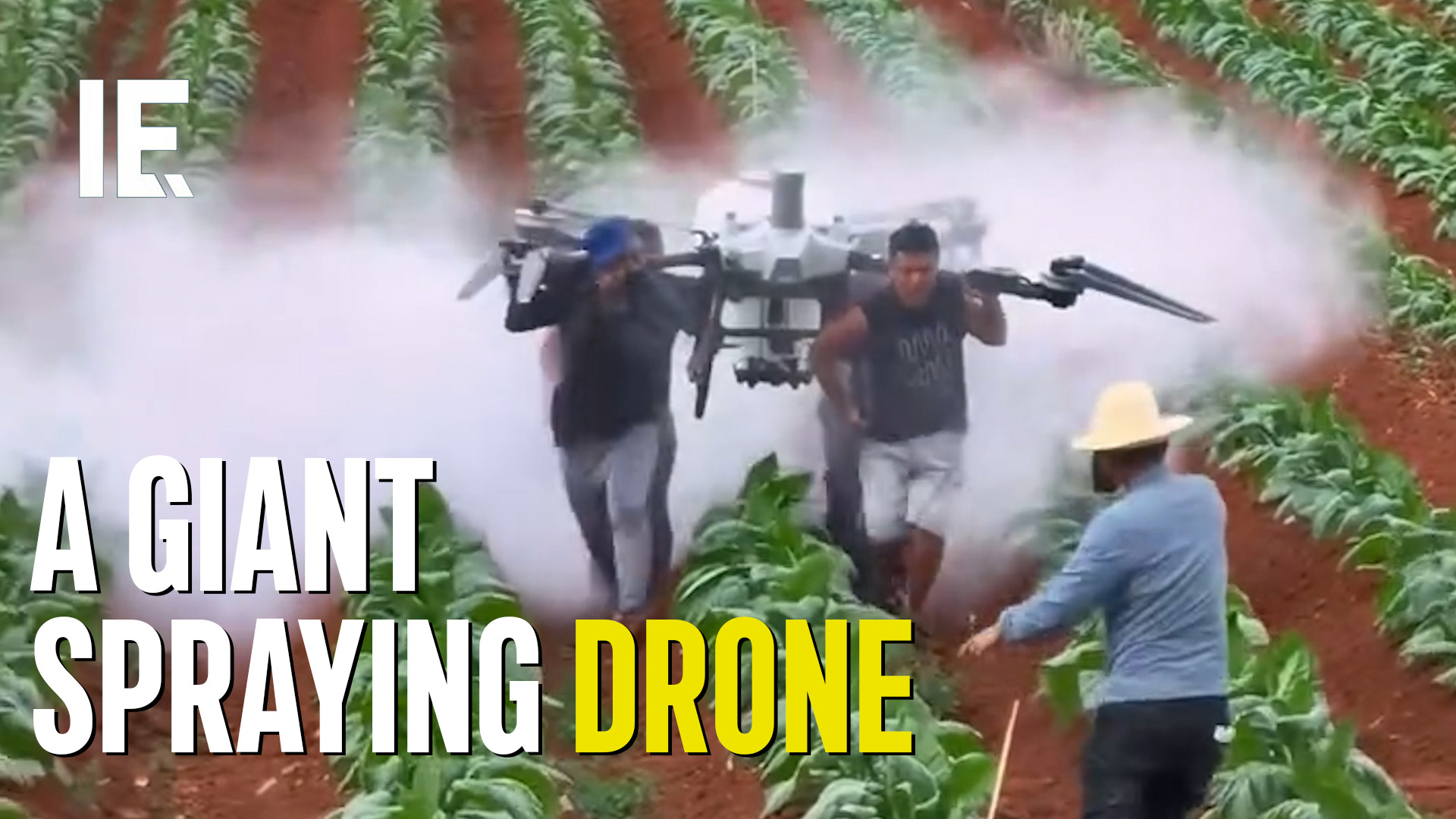 How agricultural drones spray pesticides across large crop fields