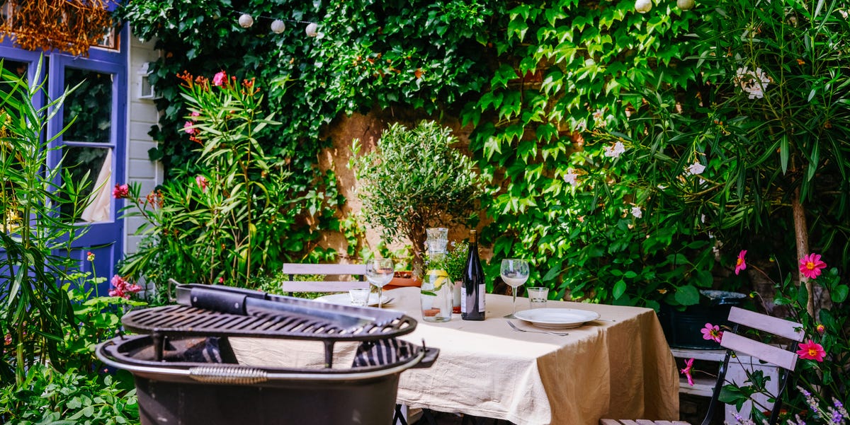 11 plants that can help your garden feel cooler during a heat wave