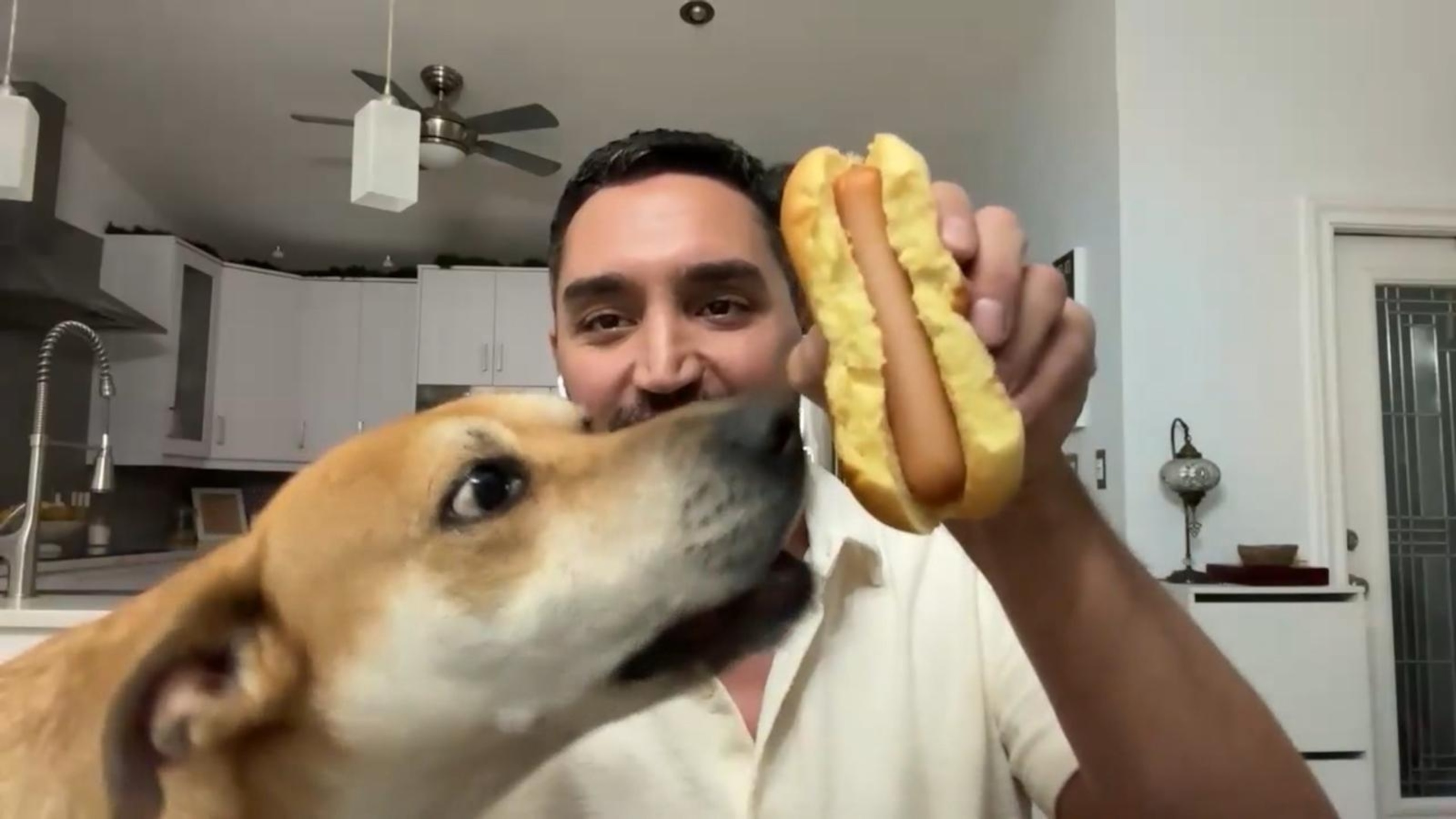 Jonah gets his hot dog and more