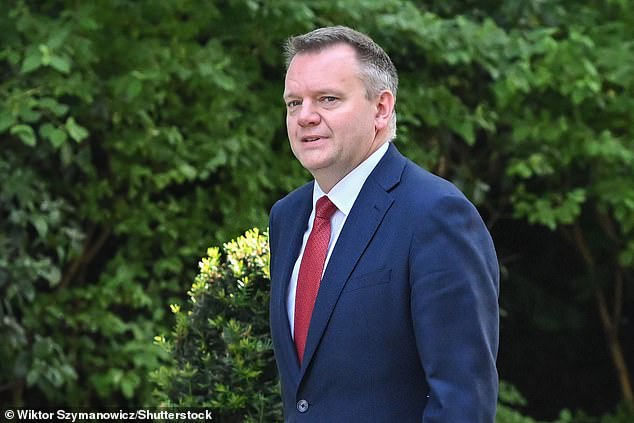 Cabinet Office minister is accused of sending 'inappropriate' nail bar ...