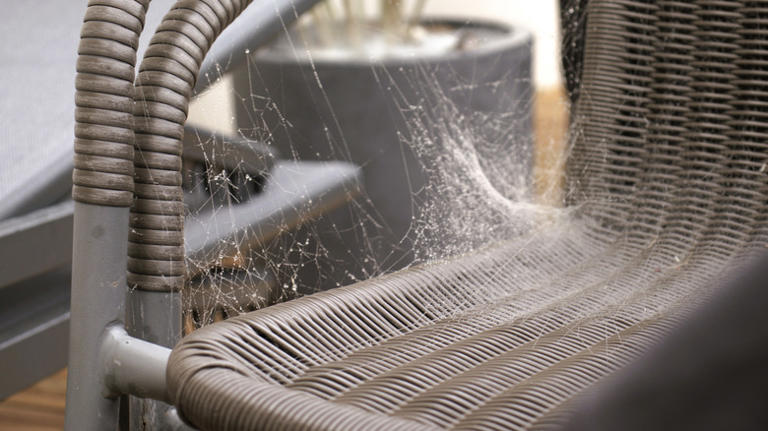 Not chemicals or traps: Help keep spiders away from patio furniture ...