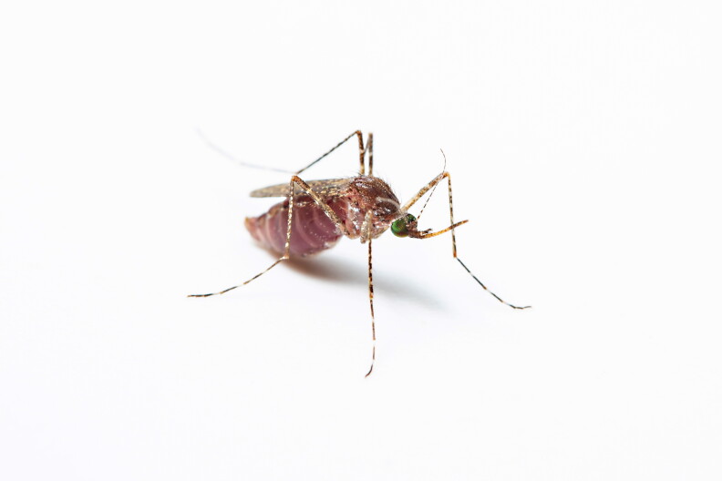 Long Beach confirms first human case of West Nile in California