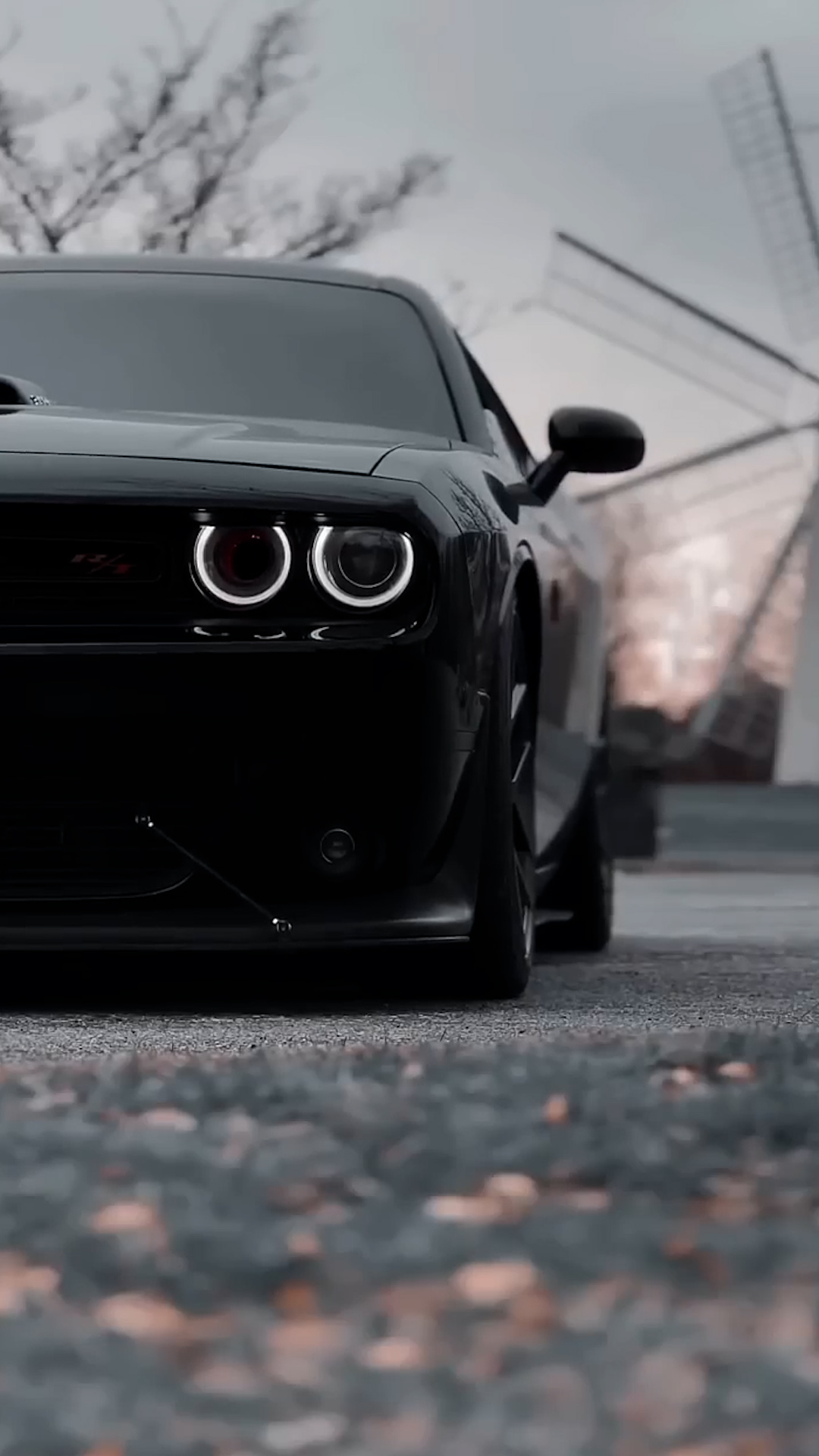 Built to command the road | Ford Mustang Dark Horse