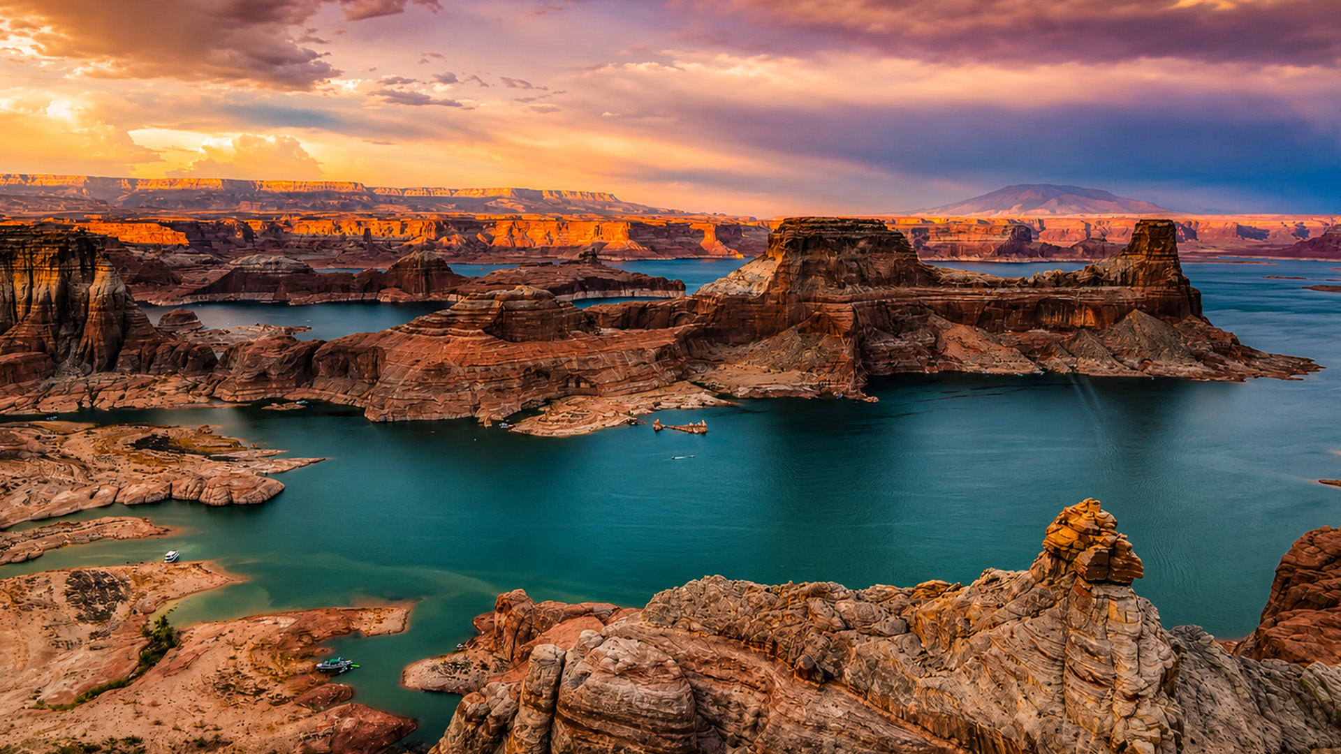 Could this be the desert's hidden water world?