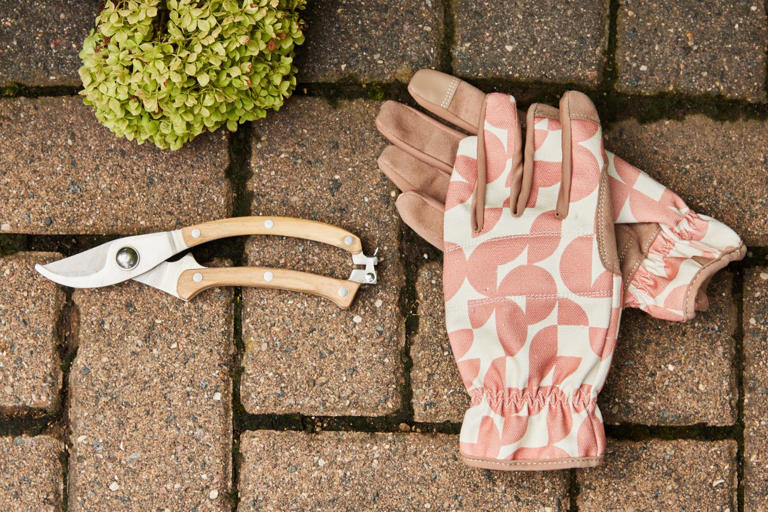 How to deadhead hydrangeas for bigger blooms, according to a horticulturist