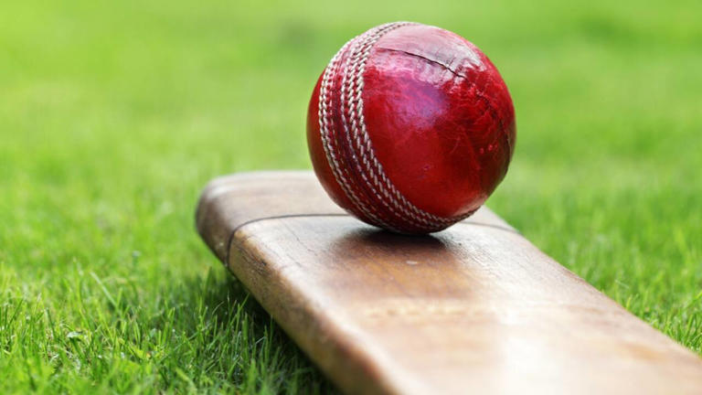 Double hat-trick! 9-year-old Rohan takes six wickets in an over ...