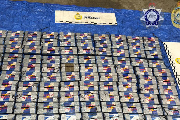 Cocaine worth $36 million seized from frozen berry shipment