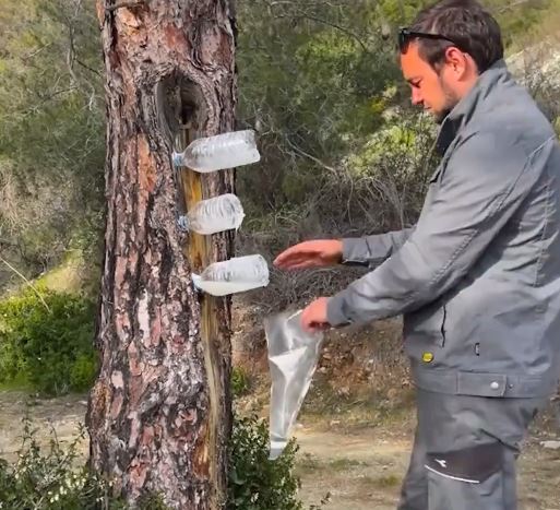 Nature’s secret crafts! Unexpected creations from Mother Earth