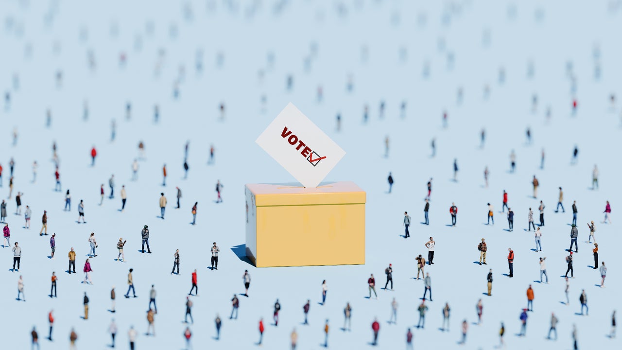 A new court ruling could shape how Americans vote in the next election