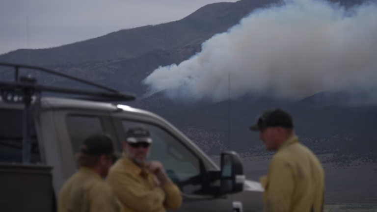 Mueren tres bomberos en incendios forestales en el suroeste y se ...