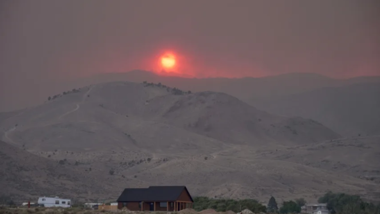 Mueren tres bomberos en incendios forestales en el suroeste y se ...