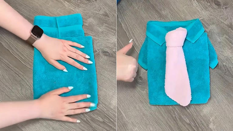 Impress your guests: A more creative way to fold & display bathroom ...