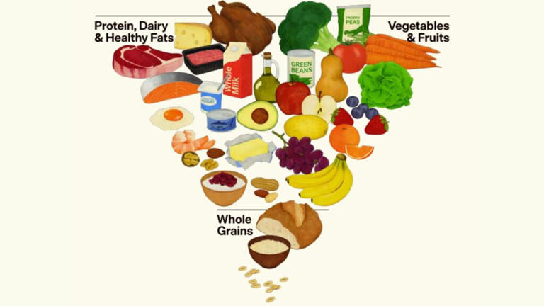 Very high protein diet, beef tallow, and full-fat dairy considered ...