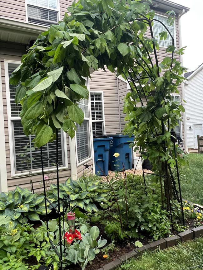 If your garden is your happy place, you'll love these 27 products
