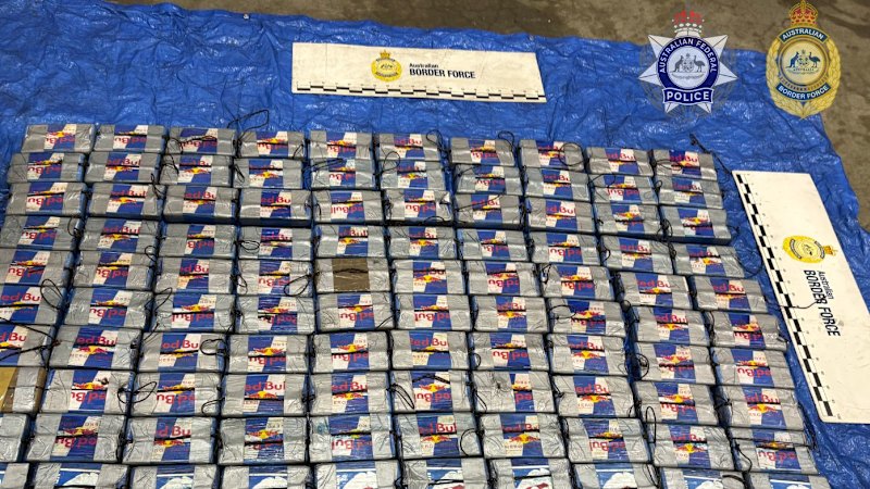 Cocaine worth $36 million seized from frozen berry shipment