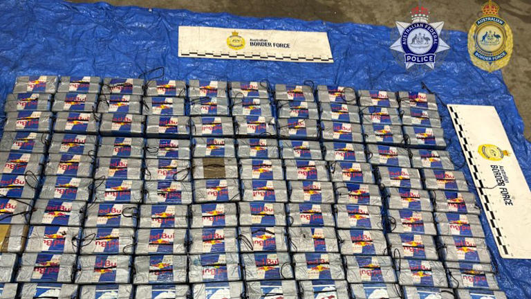 Cocaine worth $36 million seized from frozen berry shipment