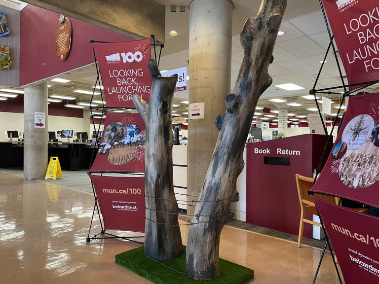 The Danger Tree, a ‘tragic marker’ of battle, to be unveiled at ...