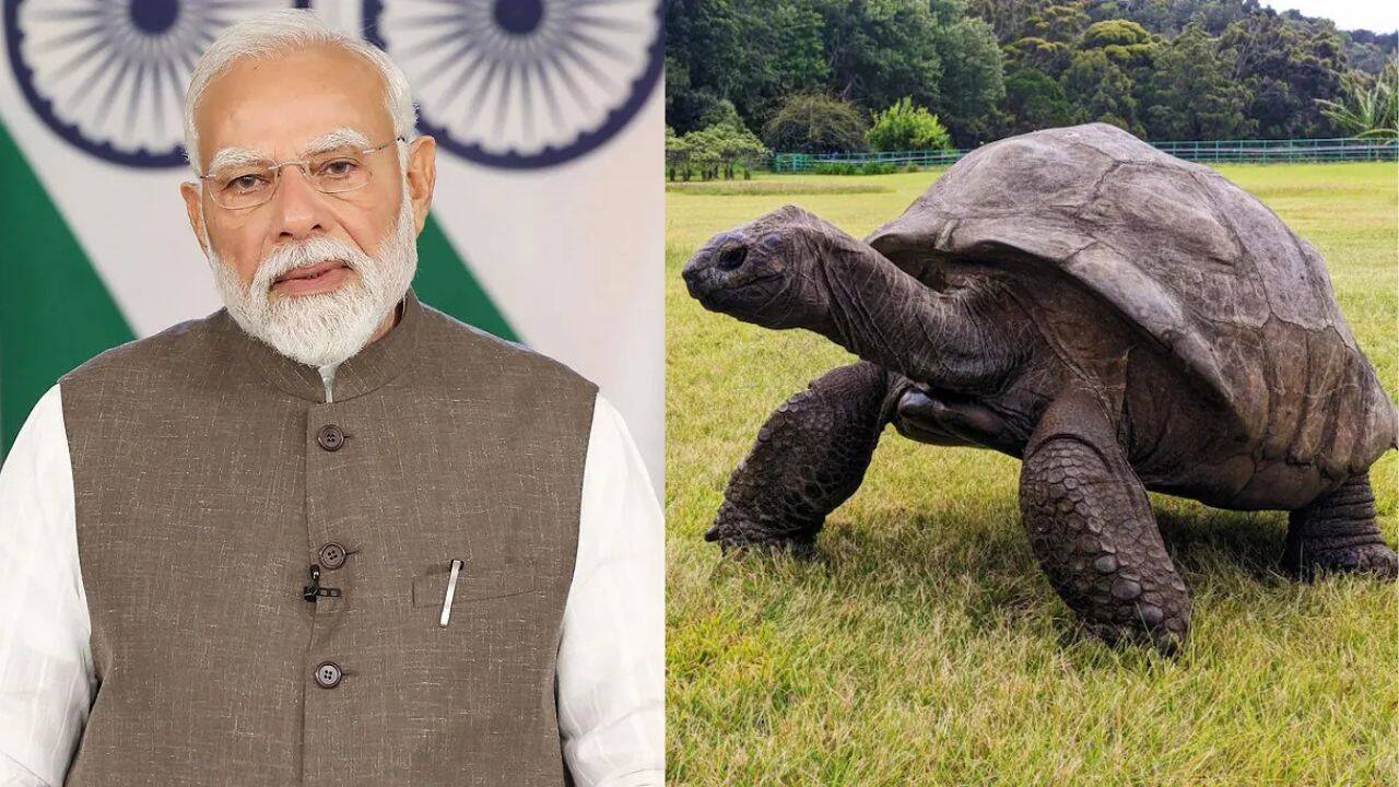 Prime Minister Narendra Modi meets 194-year-old Jonathan during ...