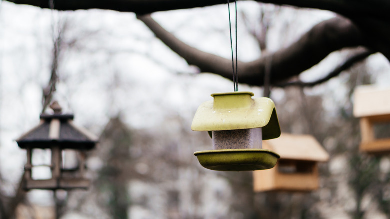 Repurpose these common kitchen items into charming DIY bird feeders