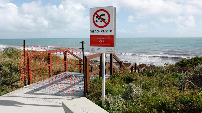 Whale carcass washes ashore at Grant Beach in Cottesloe, causing beach ...