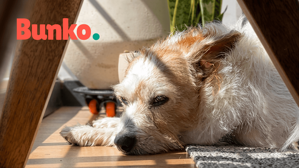 Lucho was abandoned because of epilepsy until two strangers changed his ...
