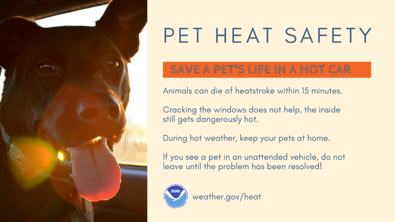 Dangerous heat wave coming to Delaware. Here's the latest forecast