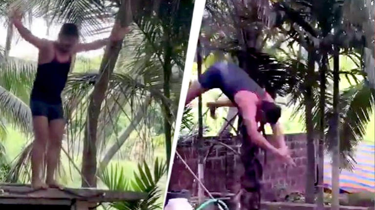 Music, dancing, then screams: Man dives headfirst into resort swimming ...