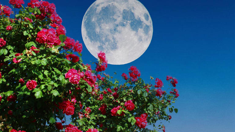 4 zodiac signs attract luck under June 29's Capricorn full moon