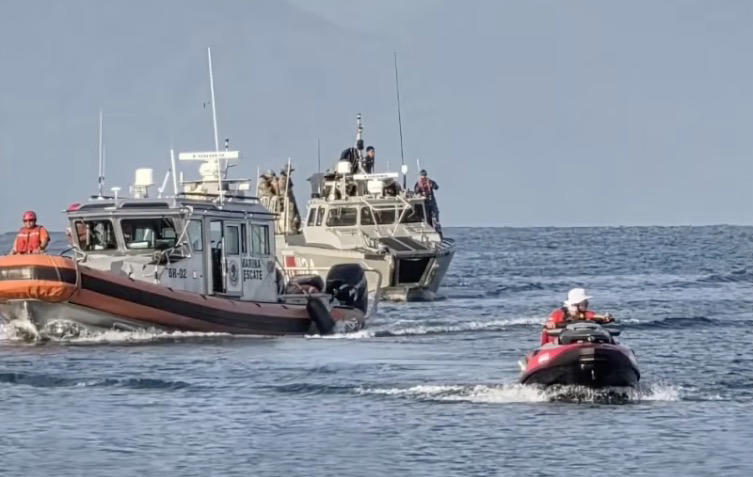 Video shows crocodile that killed Puerto Vallarta man in front of ...