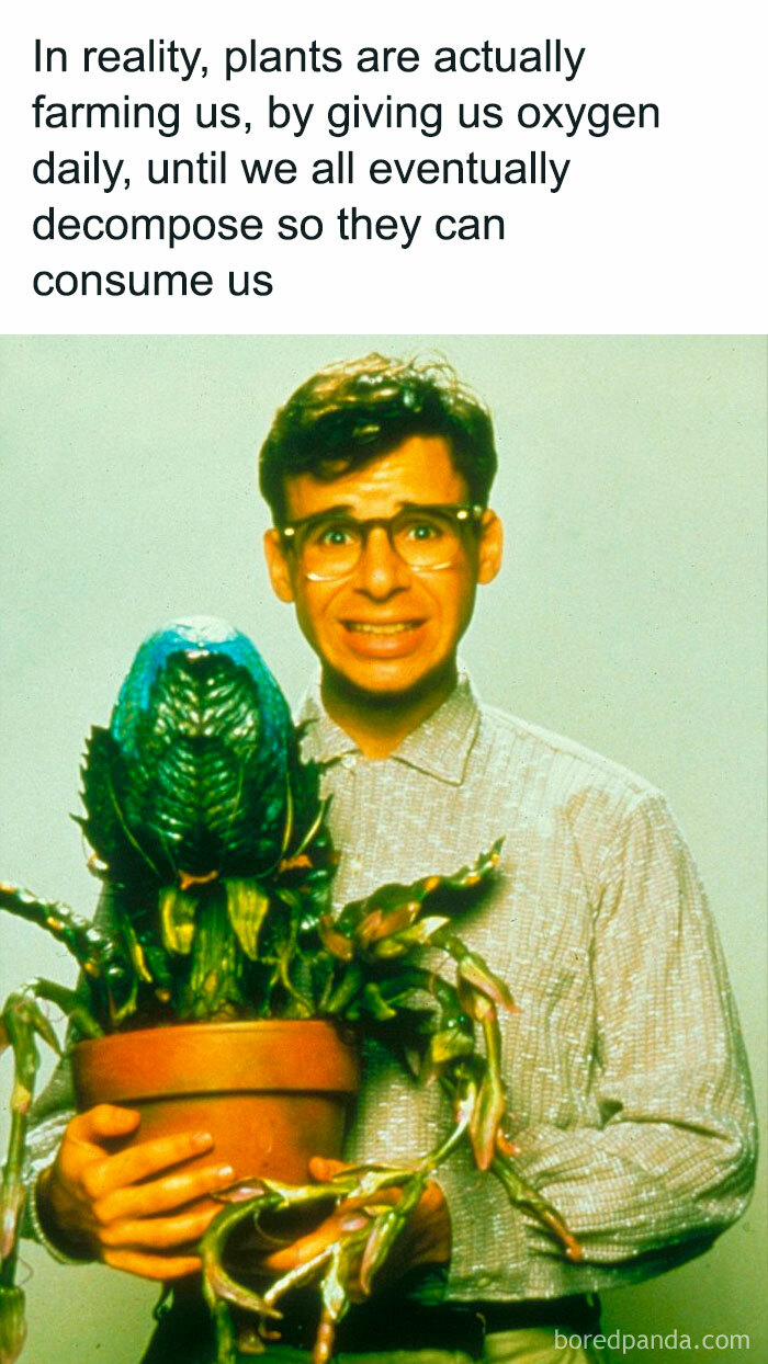 Lab humor: 46 clever science memes that are genuinely funny