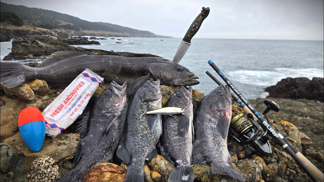 Solo catch and cook - new fishing techniques to be more successful!