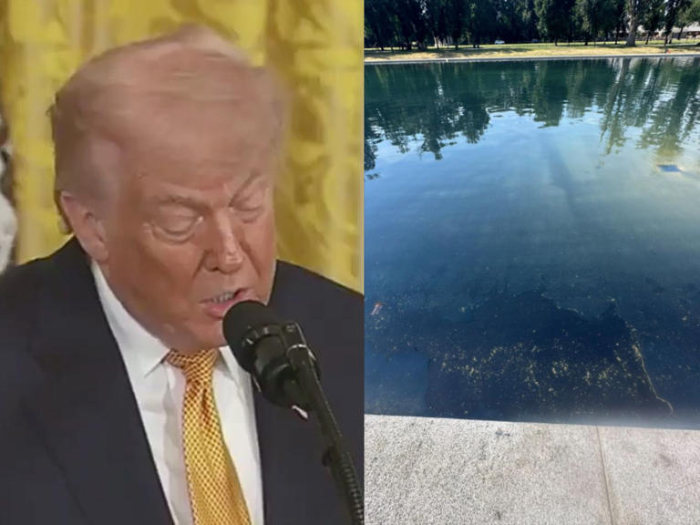 US President Donald Trump declares war on 'criminally made algae' in ...