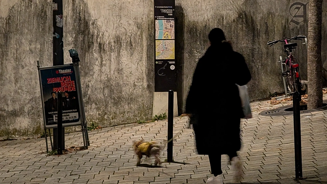 Nighttime dog walking safety tips