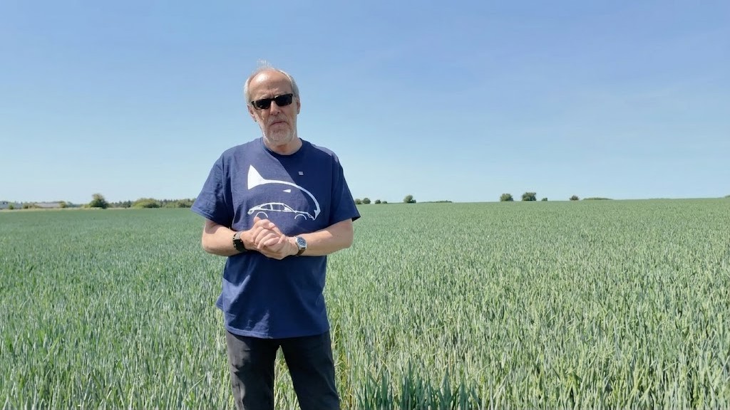 Wheat looks better after rain as fertiliser is booked early