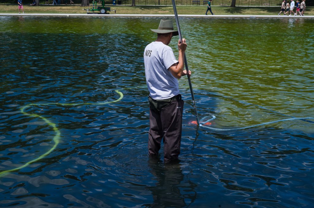 Trump says 'criminally made' algae purged from Reflecting Pool