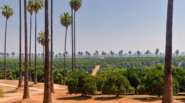 10 secret historic state parks tourists often miss when visiting California