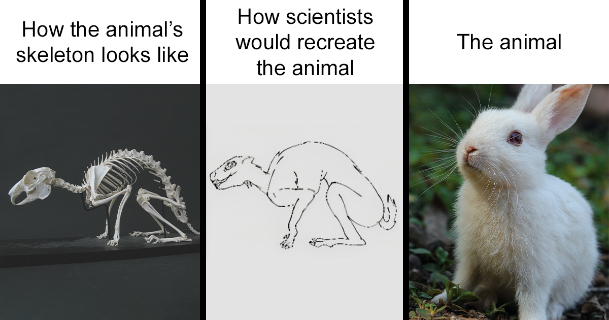 Lab humor: 46 clever science memes that are genuinely funny